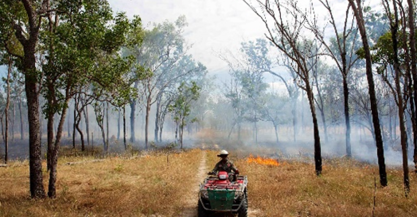 Carbon offsets | Climate Active
